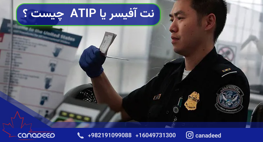 نت آفیسر یا ATIP چیست ؟ – موسسه مهاجرتی کانادید